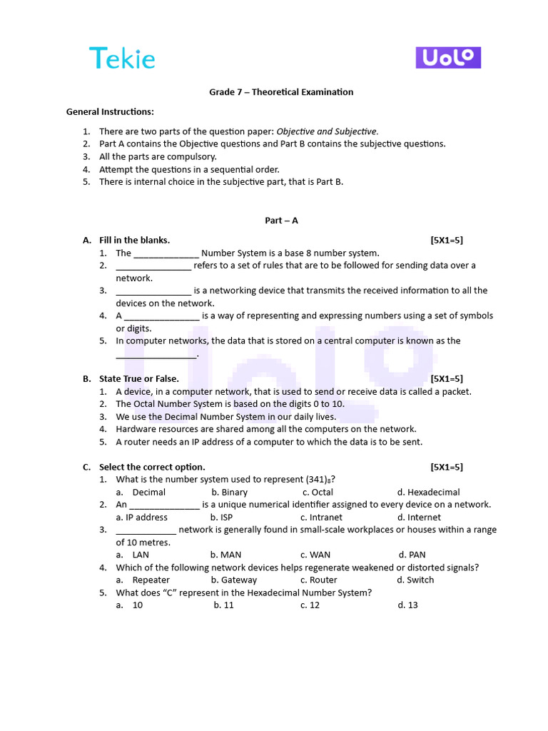 Grade 7 Computer Science Exam | PDF | Computer Network | Computer Science