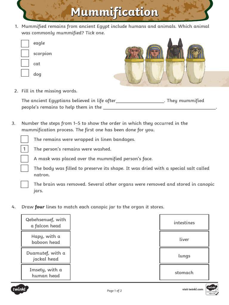 t-h-1737367626-the-ancient-egyptians-mummification-quiz_ver_2 | PDF | Mummy | Death Customs