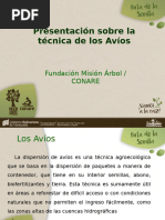 Cultivo de Caraotas: Guía Completa | PDF | Phaseolus Vulgaris | Plantas