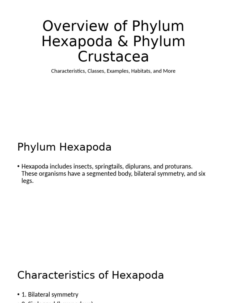 Hexapoda Crustacea Overview | PDF