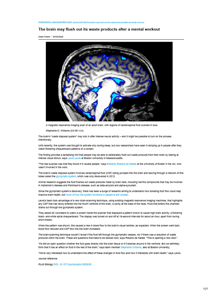 Brain Waste Clearance After Mental Activity | PDF | Brain ...
