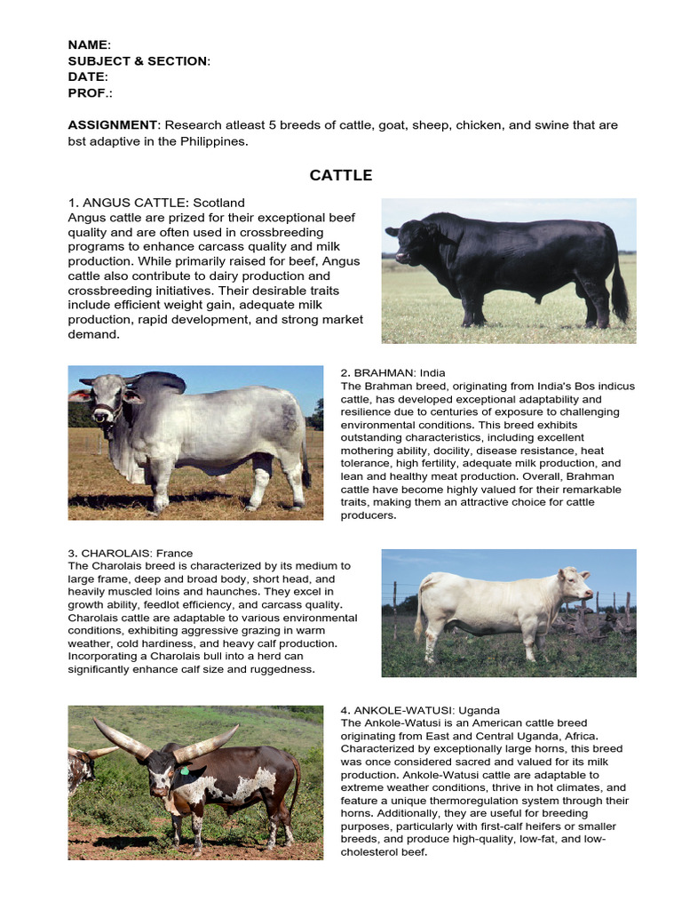 ANIMAL SCIENCE | PDF | Sheep | Cattle