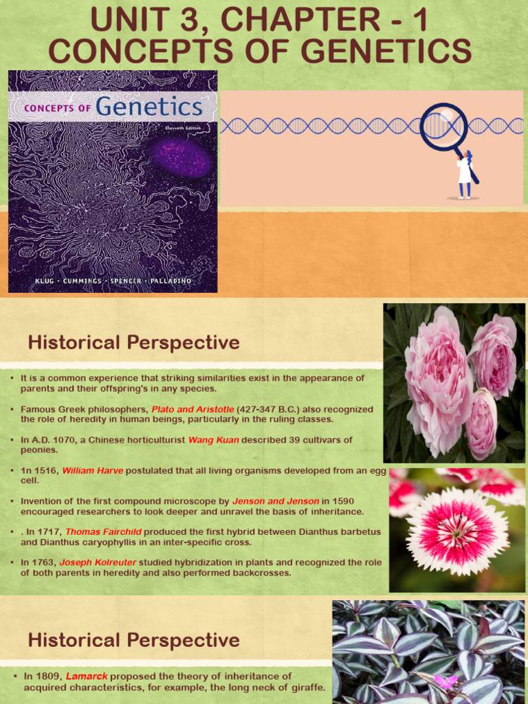 Concept of Genetics 01 | PDF | Dominance (Genetics) | Genotype
