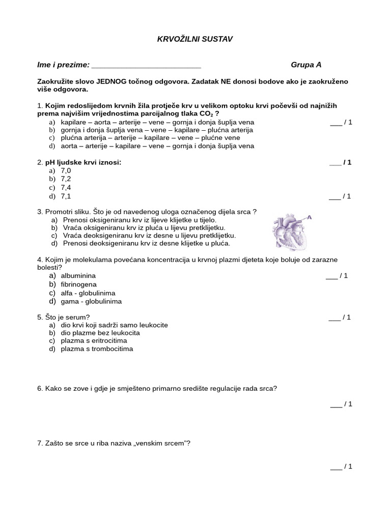 Krvožilni Sustav - Grupa A | PDF