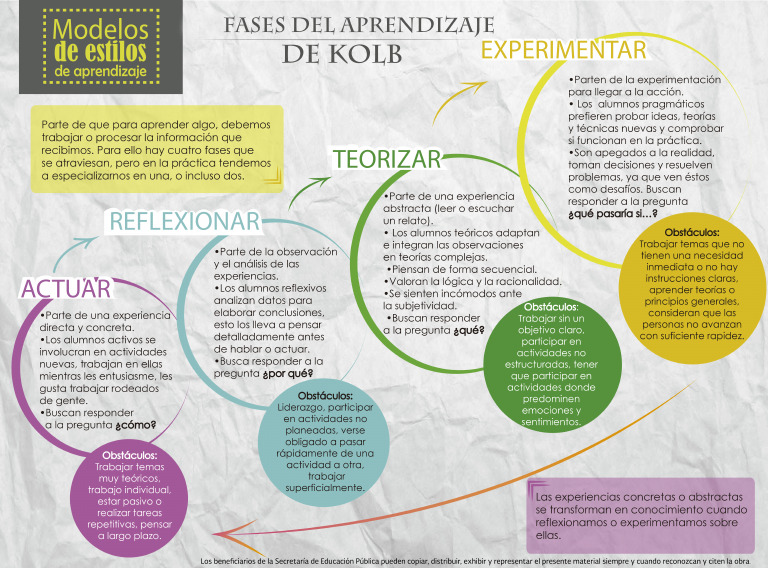 Infografía Kolb | PDF