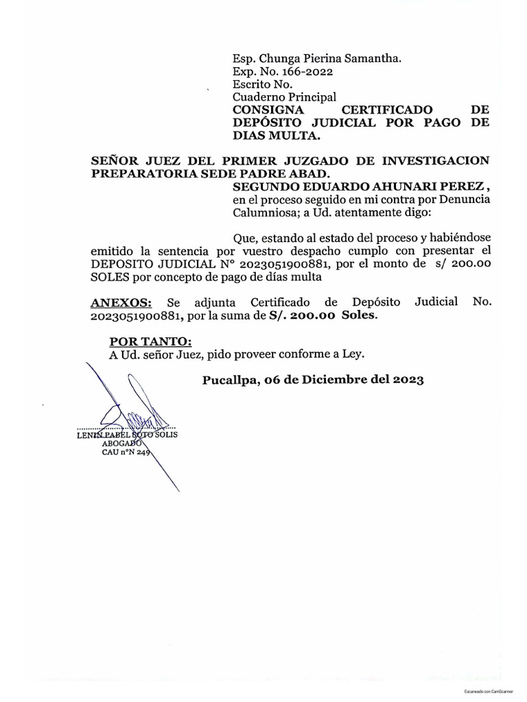 Pago de Dias Multa | PDF