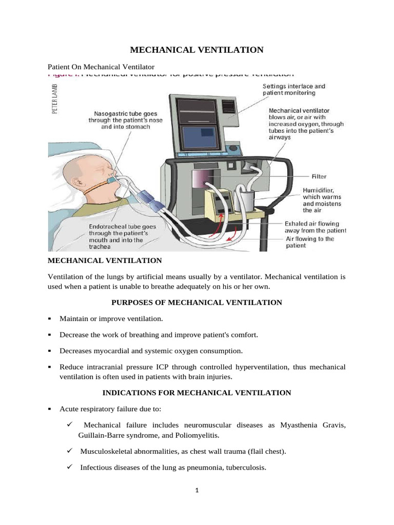 Mechanical Ventilation | PDF | Lung | Physiology