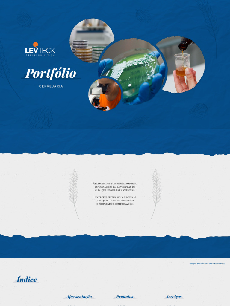 LEVTECK Portfolio - Cervejaria | PDF | Cerveja | Ale (cerveja)