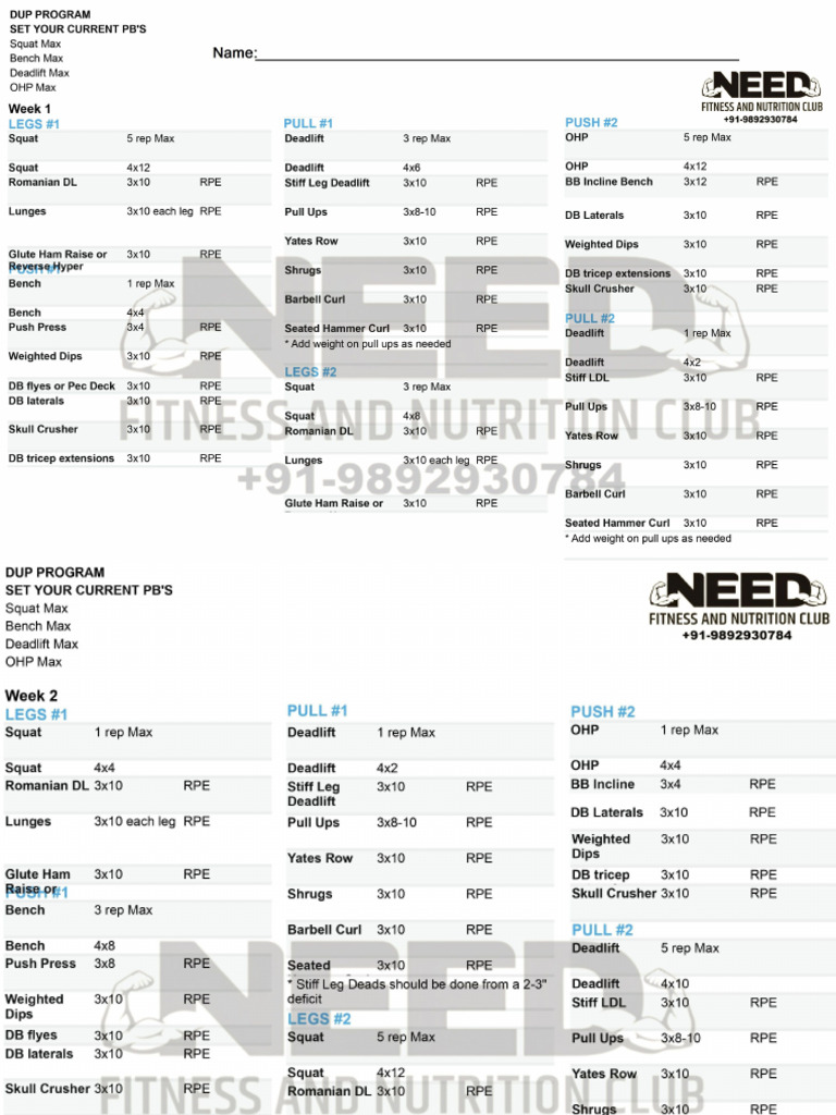 Fitness Chart Needs Gym | PDF