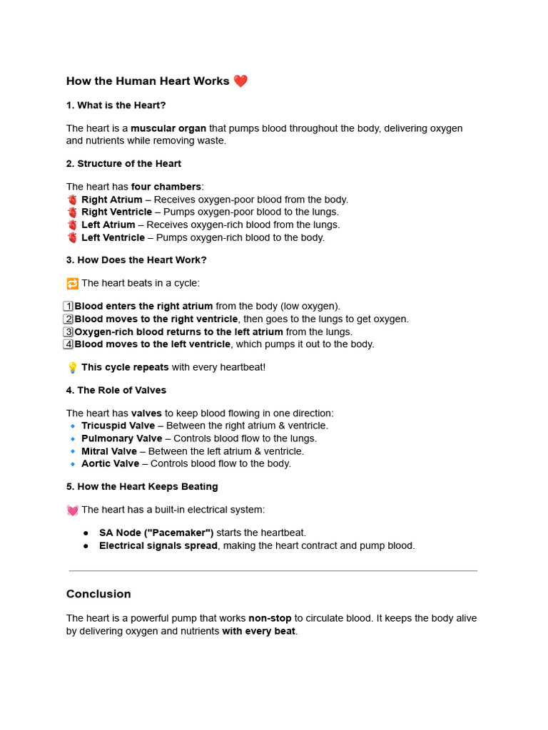 Heart Function and Structure Explained | PDF
