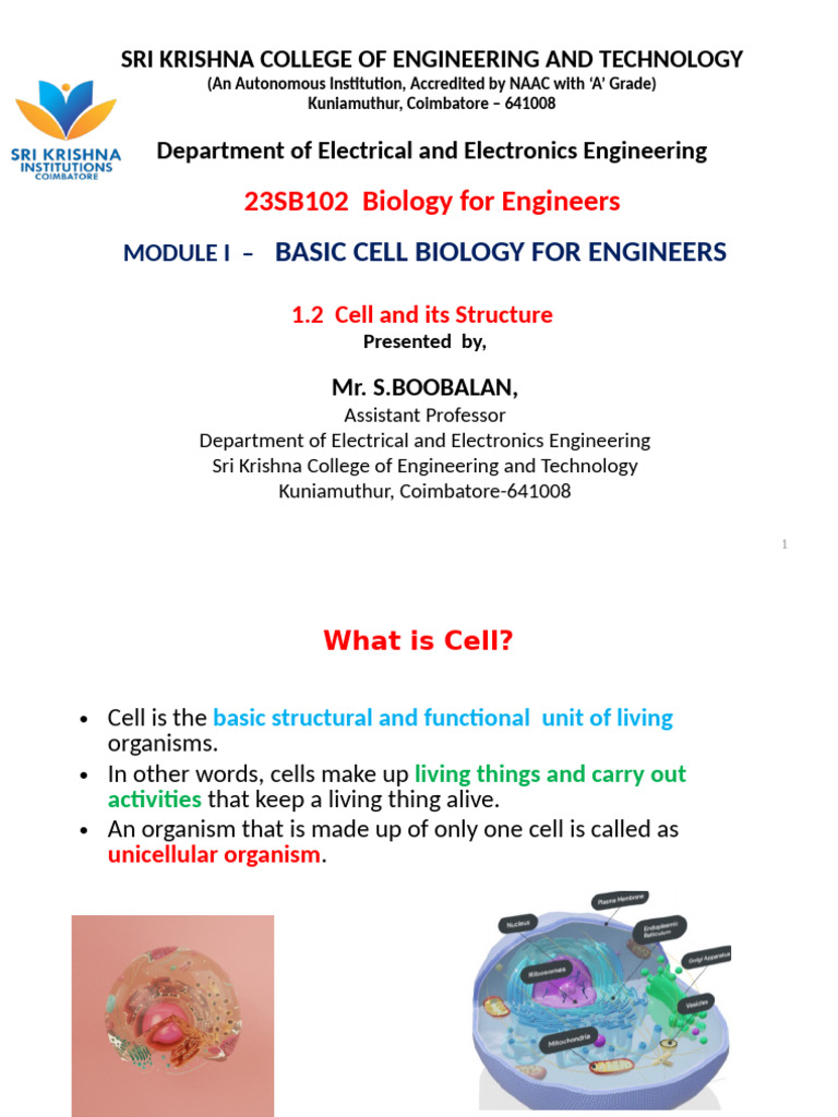 Basic Cell Biology for Engineers | PDF | Cell (Biology) | Cell Nucleus