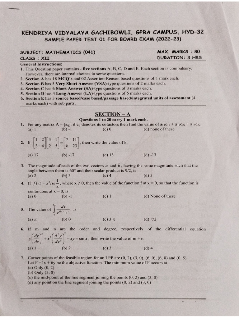 Maths Sample Paper 1 (2022-23) | PDF