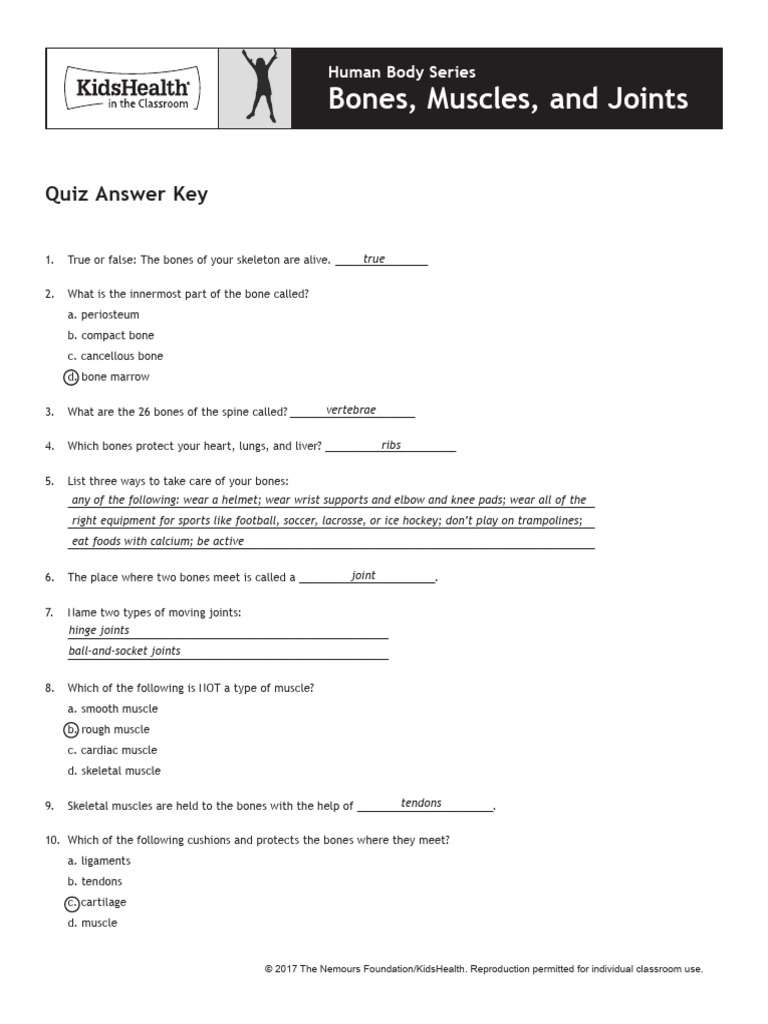 Bones, Muscles, and Joints Quiz Key | PDF