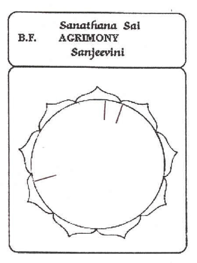 Bach Flowers Cards-Sanjeevini | PDF