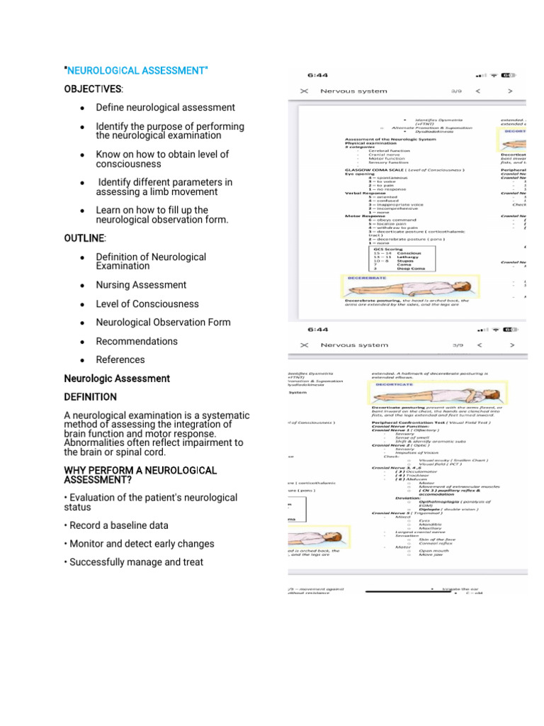 Rle - Neurological Assessment - Padilla | PDF | Skull | Nervous System