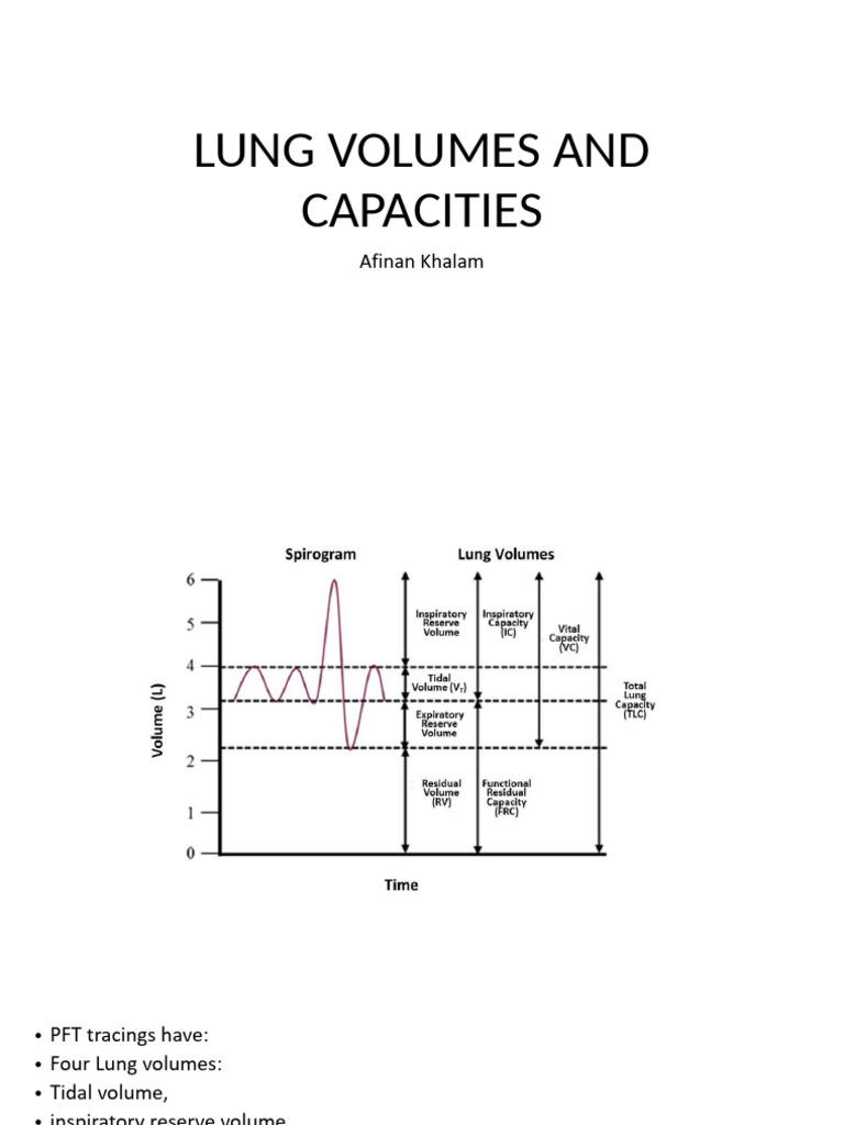Lung Volumes and Capacities | PDF | Exhalation | Pulmonology