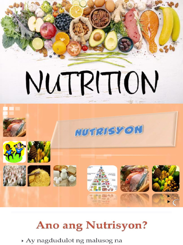 NUTRISYON | PDF
