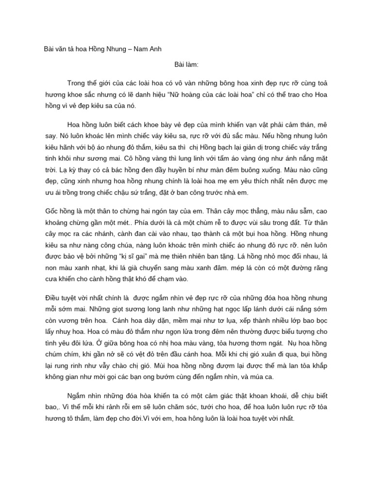 Bài văn tả hoa Hồng Nhung | PDF