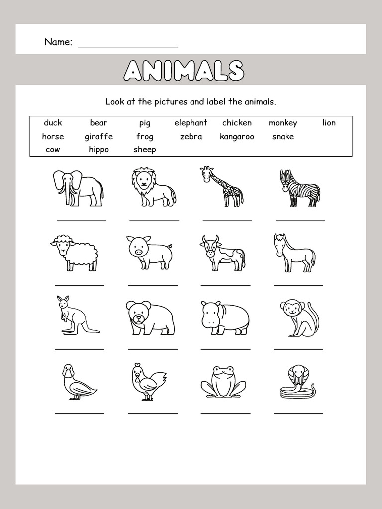 Animals Worksheet in Black and White Illustrative Style | PDF