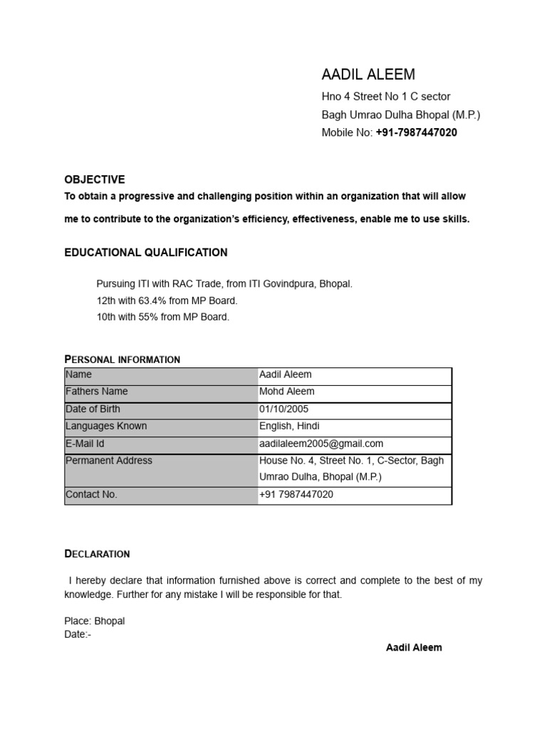 Aadil Aleem Resume Overview | PDF