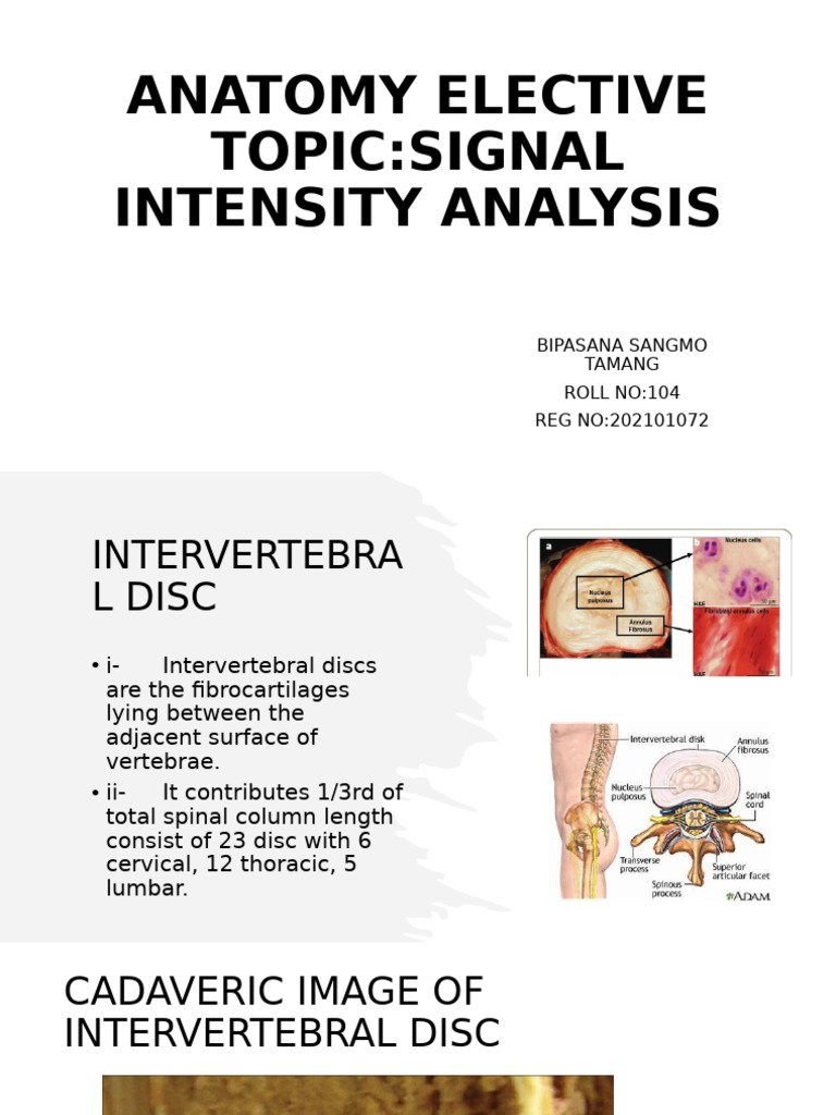 Anat Elective Bips | PDF | Relaxation (Nmr) | Magnetic Resonance Imaging