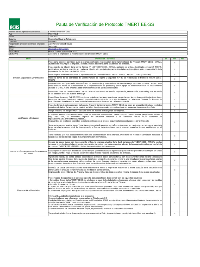 Pauta Verificacion Tmert | PDF