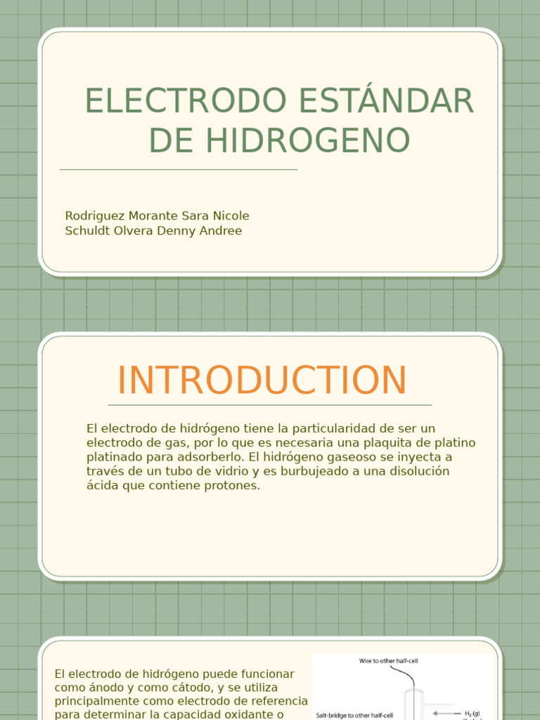 Electrodo Estándar de Hidrogeno | PDF | Redox | Electrodo
