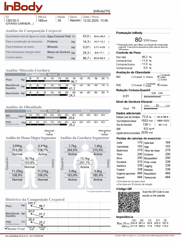 Otávio Carneiro Leão Neto Bio Janine | PDF
