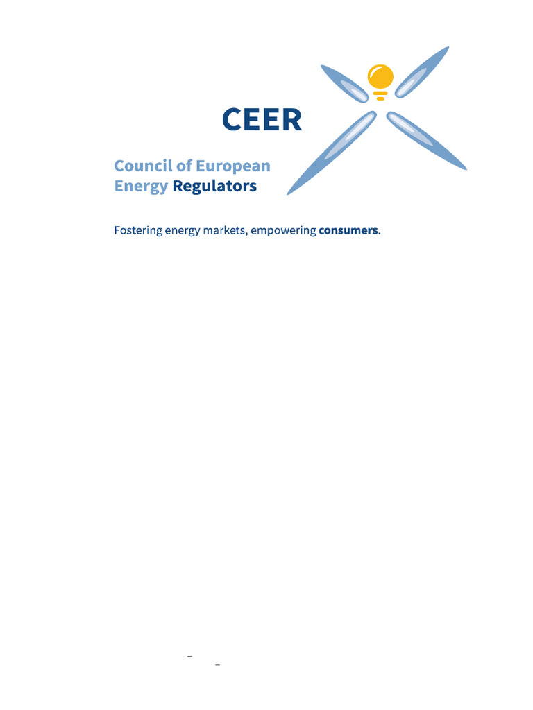 Ceer 2024 | PDF | Consumer Price Index | Tariff