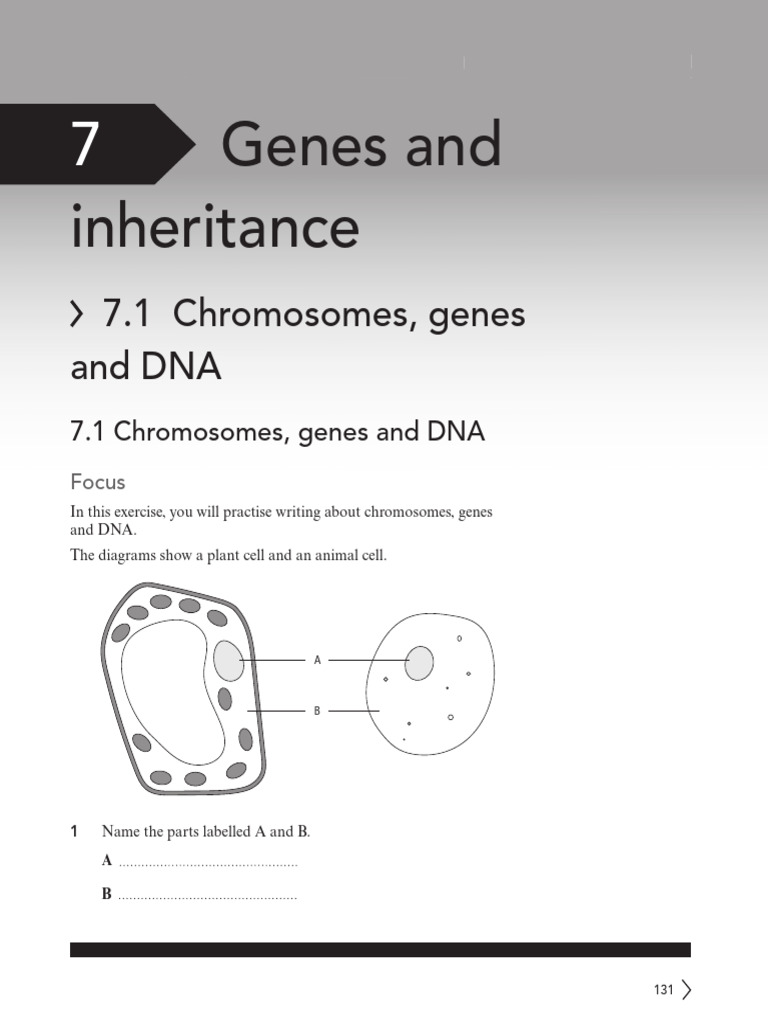 Cambridge Lower Secondary Science Workbook 9 With Digital Access (1 ...