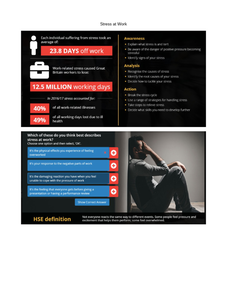 Stress at Work | PDF