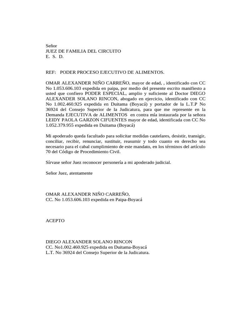 Poder Proceso Ejecutivo de Alimentos (1) | PDF