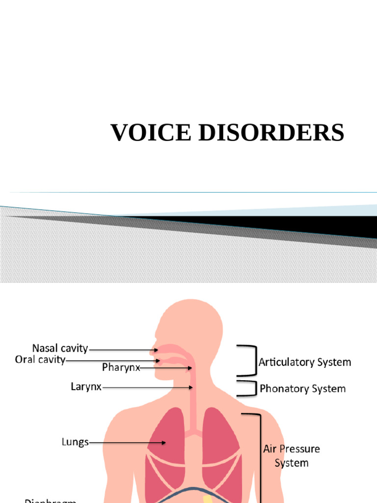 Voice Disorders (2) | PDF | Human Voice | Sound Production