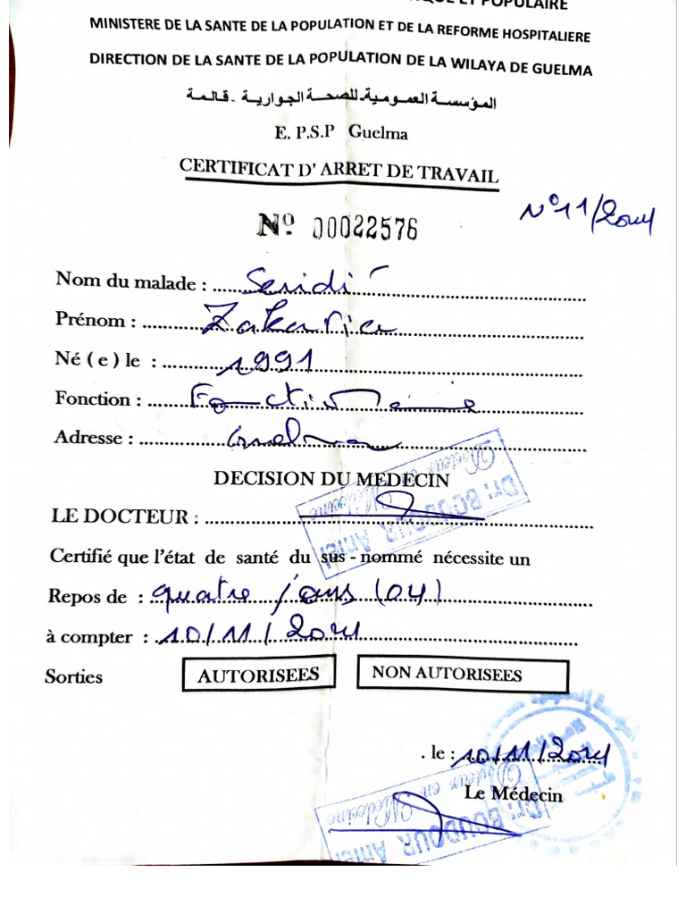 ACE Scanner_2024_11_11 | PDF