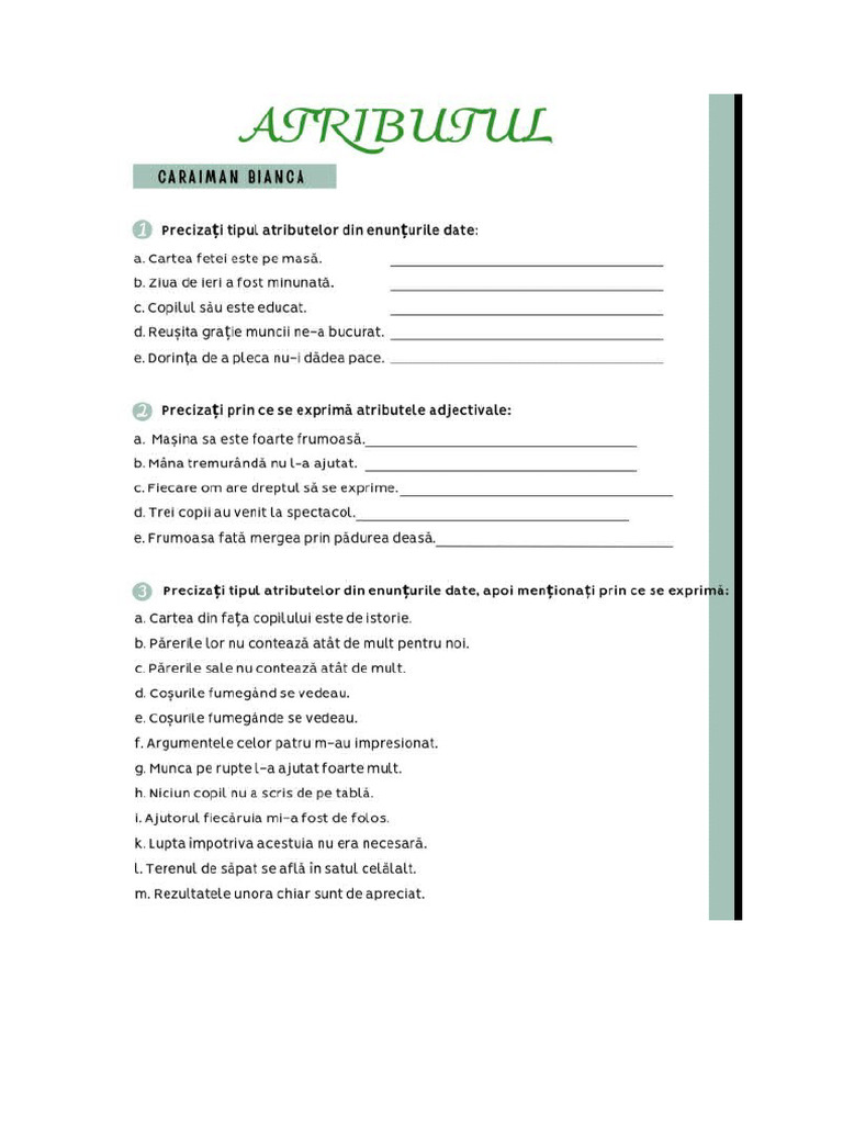 Atributul Fisa de Lucru | PDF