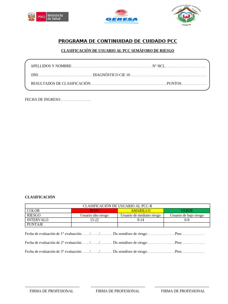 For Consolidado PCC 1 Oja | PDF