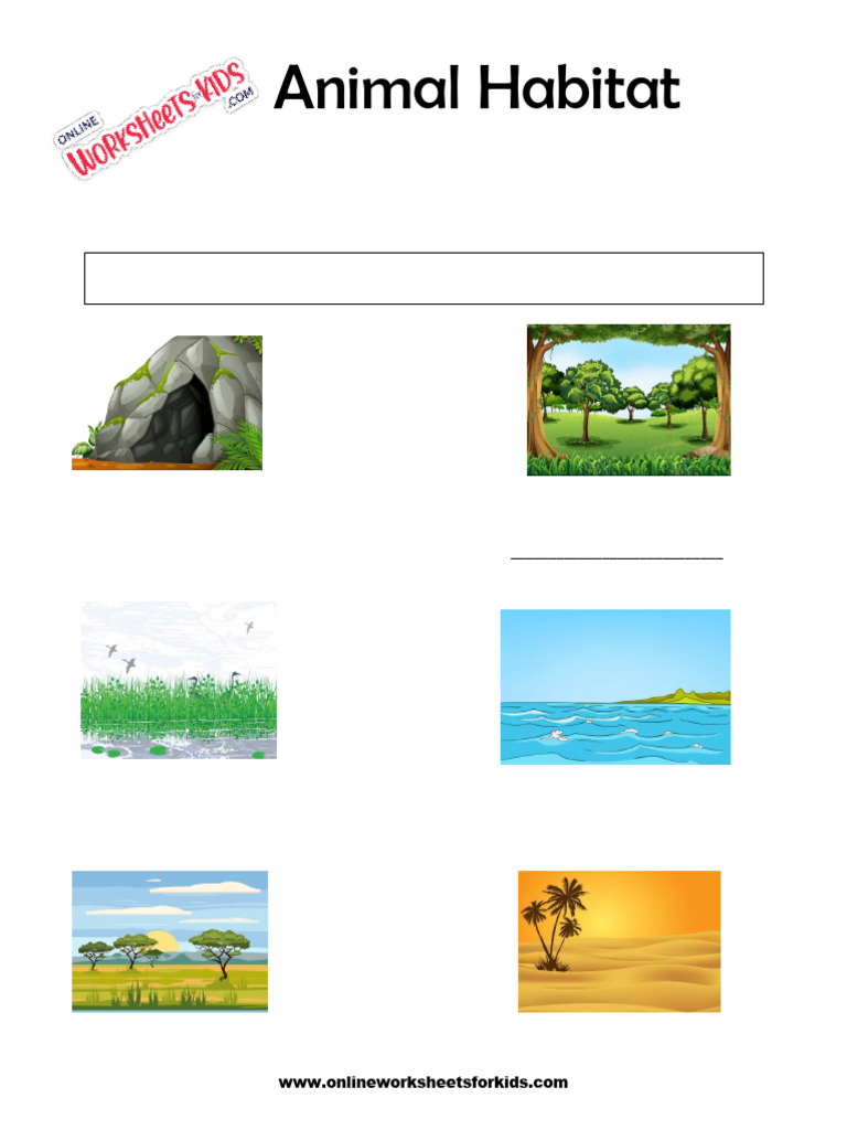 Animal Habitat Worksheet for Kids | PDF