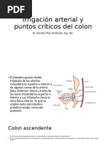 Irrigación e Inervación del Colon | PDF | Intestino grueso | Recto