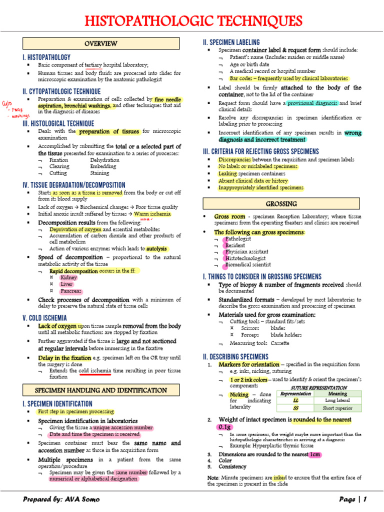 Histopathologic Techniques Overview | PDF | Fixation (Histology ...