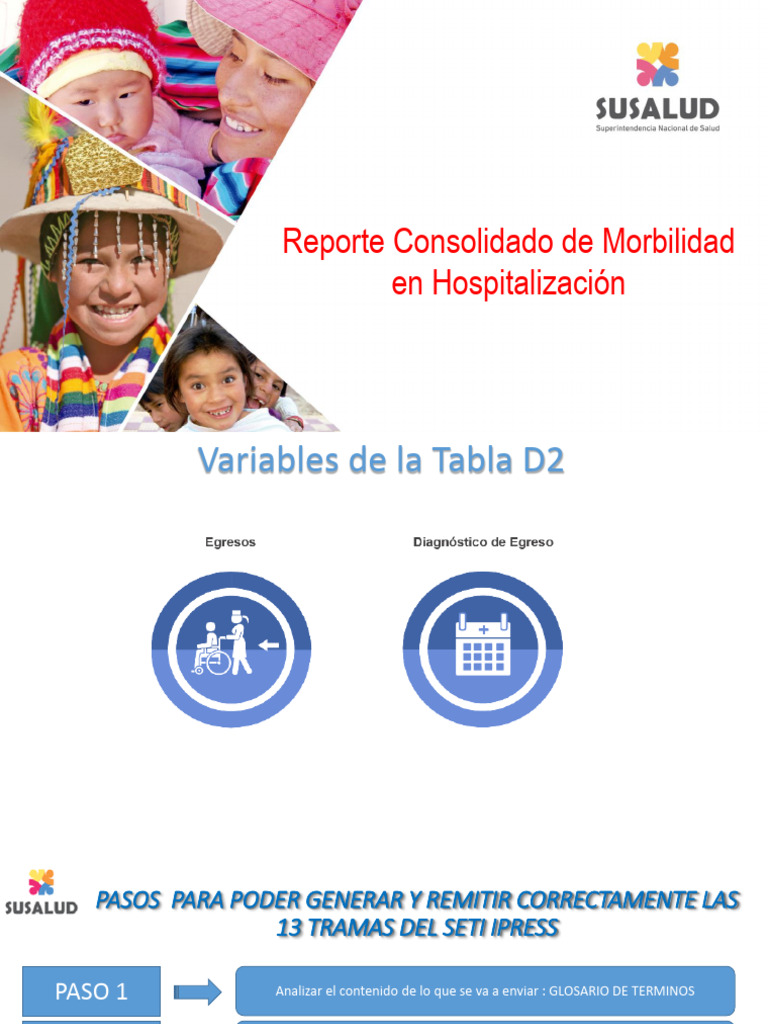 Guía para Generar la Tabla D2 en SETI IPRESS | PDF | Microsoft Excel ...