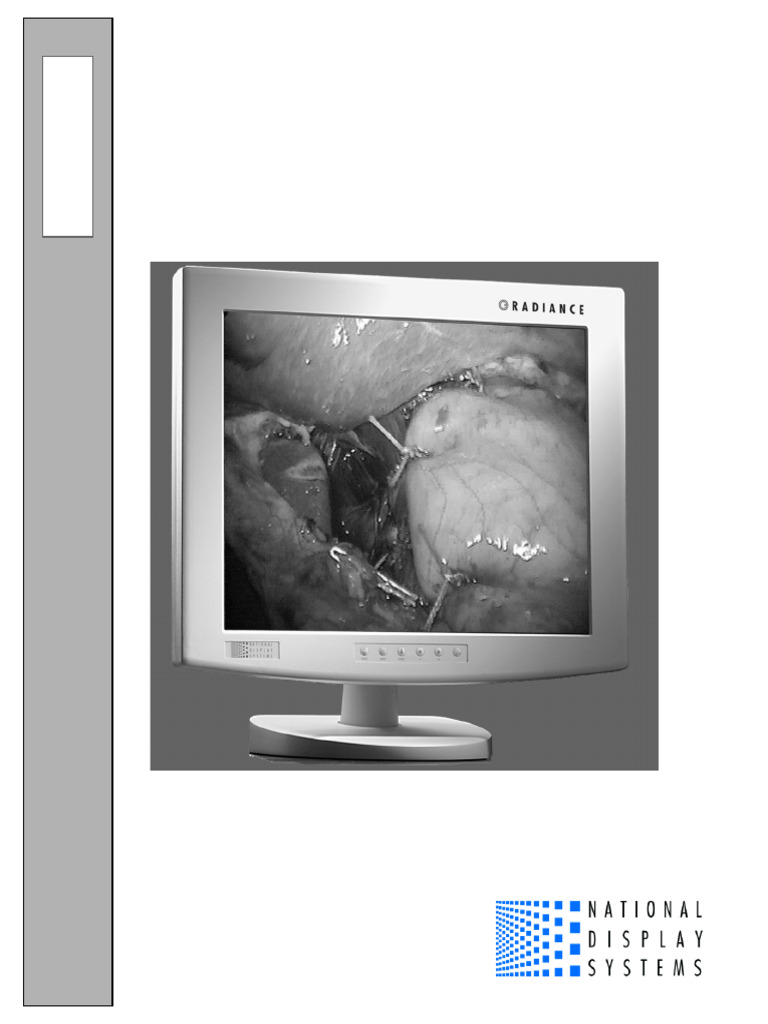60A0128 - User Manual - 19'' Radiance - All Languages | PDF | Display ...