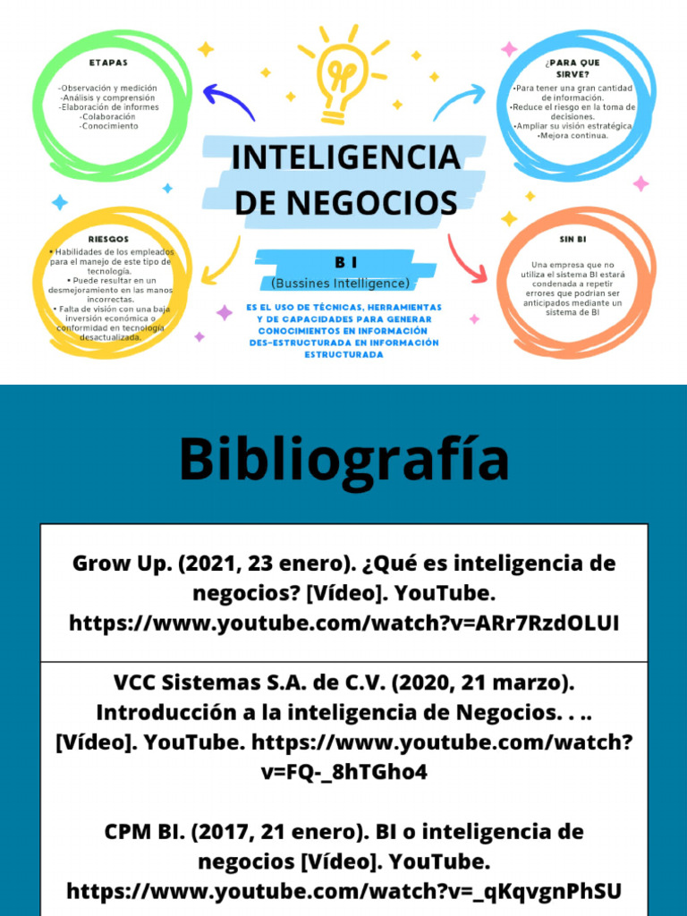 Inteligencia de Negocios | PDF