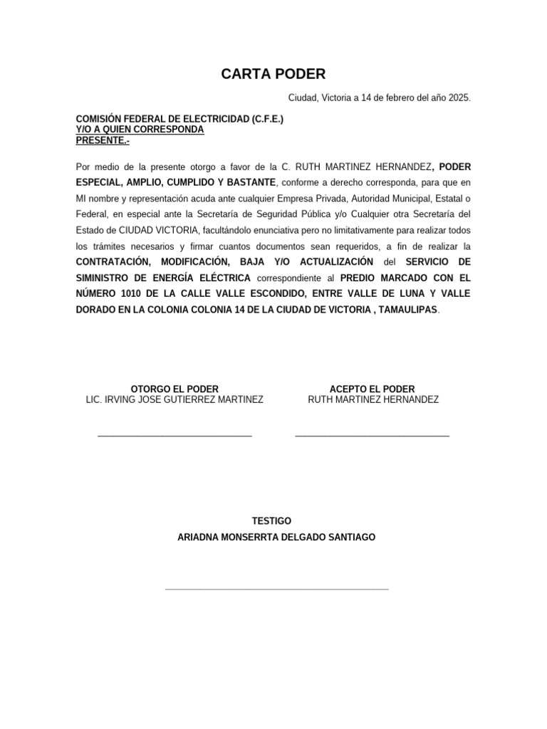 Carta Poder Cfe 2 | PDF