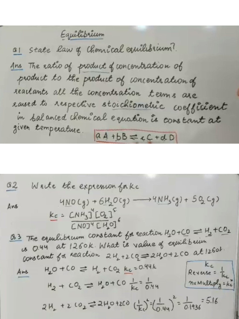 Important Questions of Equilibrium | PDF