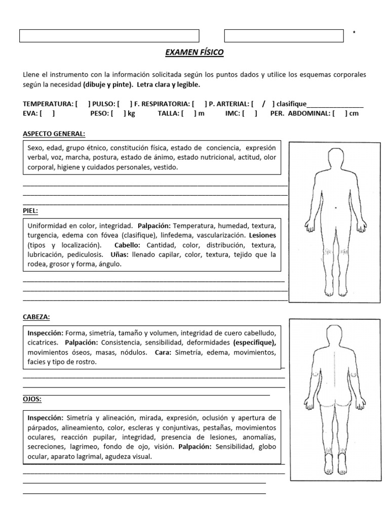 Formulario de Examen Físico Completo | PDF | Anatomía humana | Anatomía