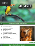 Vombate: Cocô em Forma de Cubo | PDF