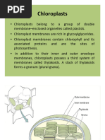 Chloroplast Labelled A Level Diagram | PDF | Chloroplast | Cell (Biology)