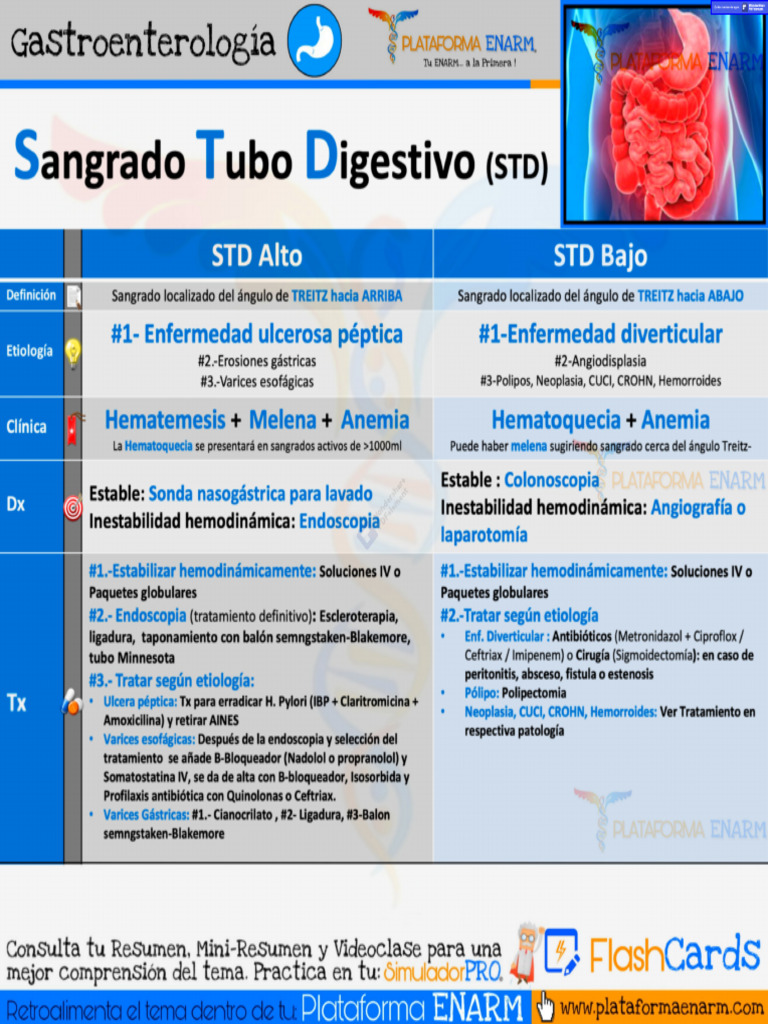 1-Sangrado de Tubo Digestivo Alto o Bajo Flash-Card | PDF