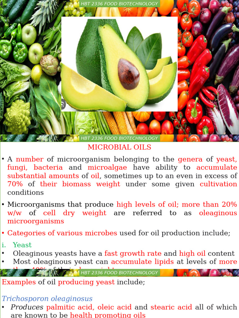 L - 6 - Microbial Oils and Microbial Enzymes | PDF | Polysaccharide ...