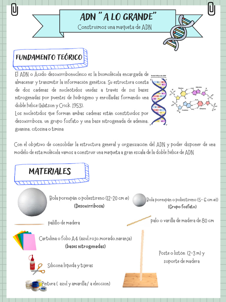Adn | PDF | Adn | Francis Crick